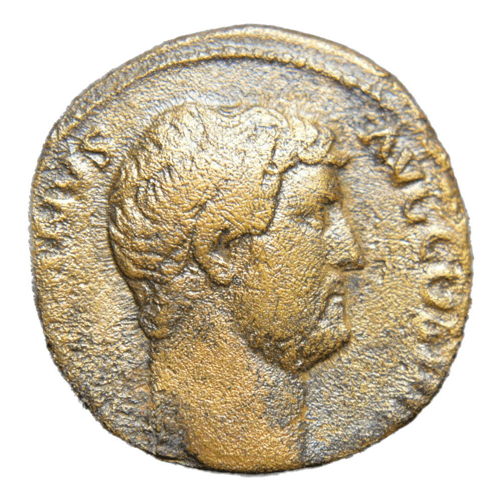 Roman Coin reverse Types II. Full List with Examples