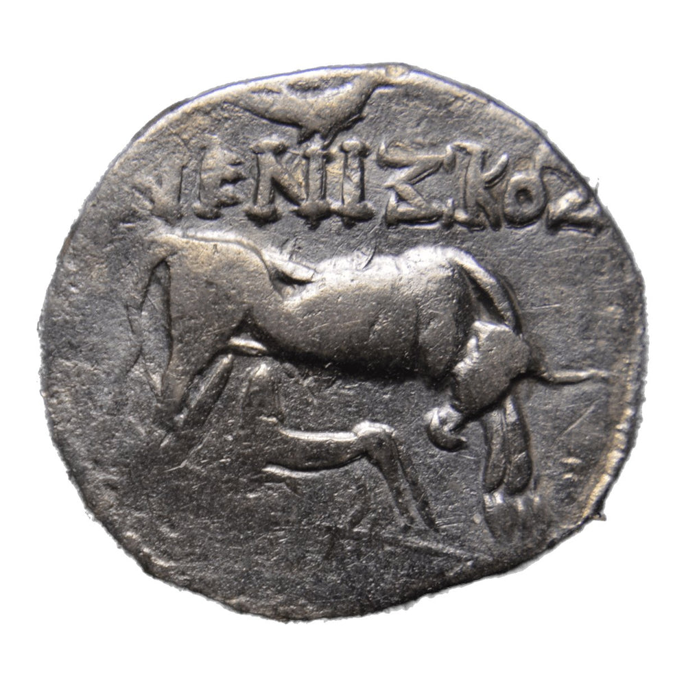Roman Coin Reverse Types