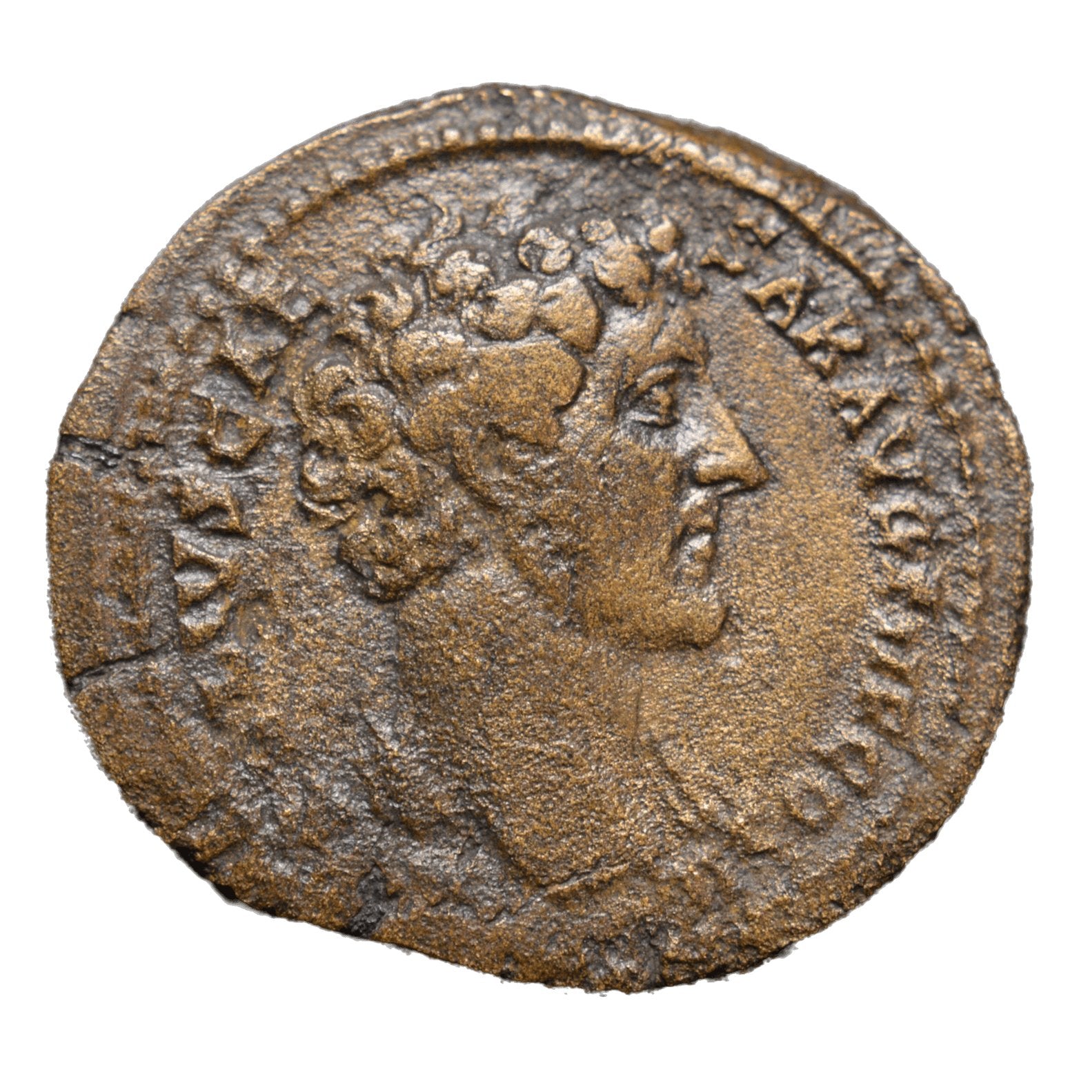 Individual Roman Bronze Coins