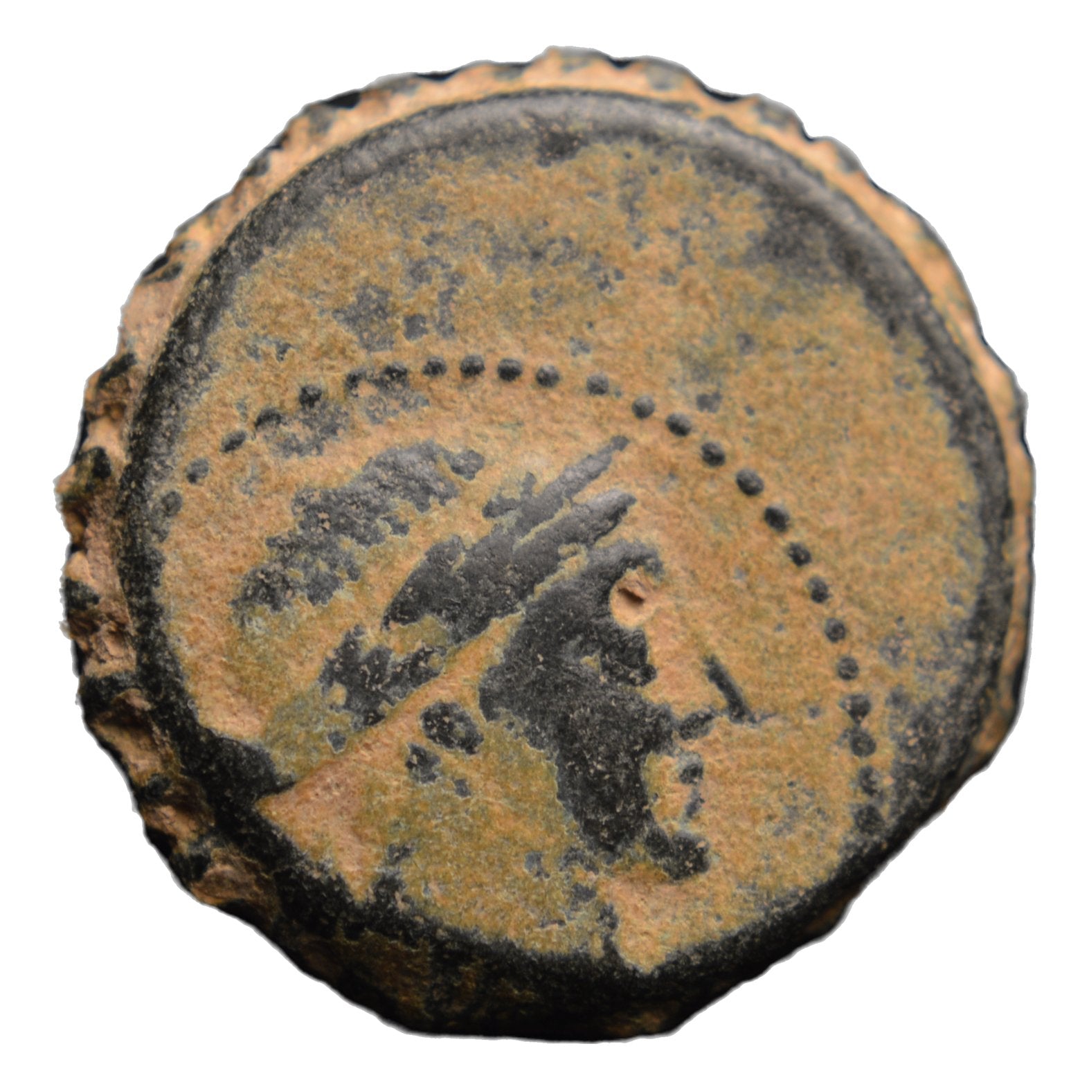 Apollo Greek Coin